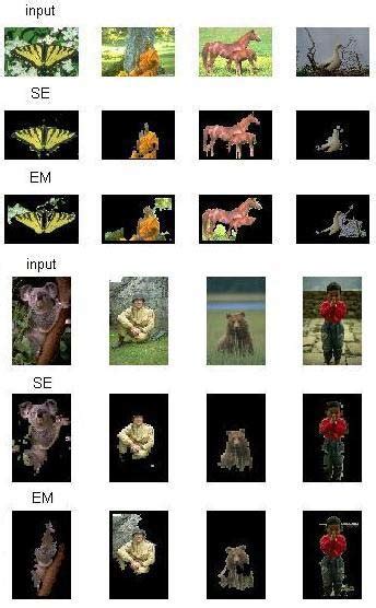 Examples Of Figure Ground Discrimination Results Se Vs Em Download Scientific Diagram