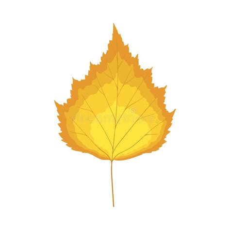 Birch Tree Leaf Stock Vector Illustration Of Leaves 258647428