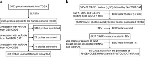 Identification Of Breast Cancer Associated Mrnas And Lncrnas Using Download Scientific Diagram