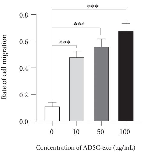 Adsc Exo Promote Migration Of Pc12 Cells A B Transwell Migration Download Scientific