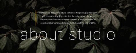 Some Info About Us Css Template By Nicepage