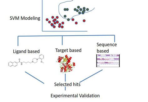 Svm Based Major Virtual Screening Methods Download Scientific Diagram