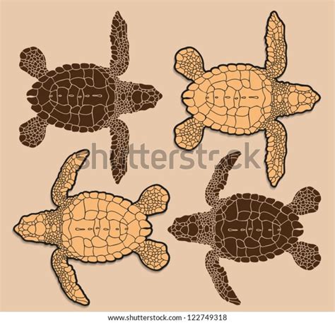 Turtle Seamless Pattern Stock Vector Royalty Free Shutterstock