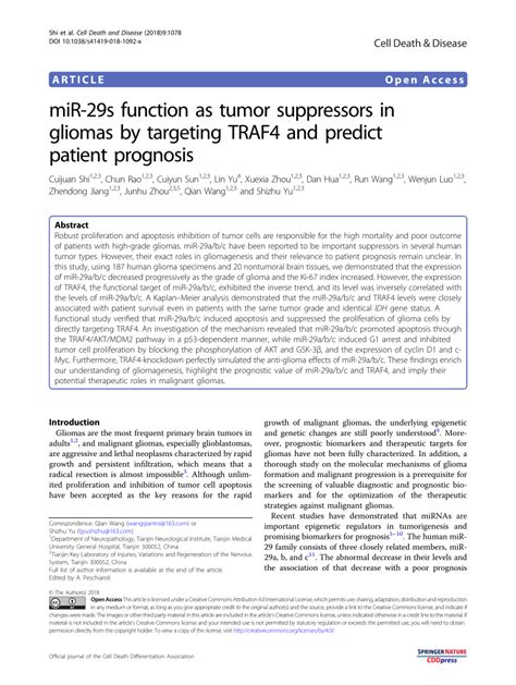 Pdf Mir 29s Function As Tumor Suppressors In Gliomas By Targeting Traf4 And Predict Patient