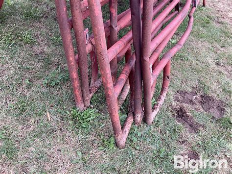 10 And 12 Cattle Panels Agriculture Bigiron