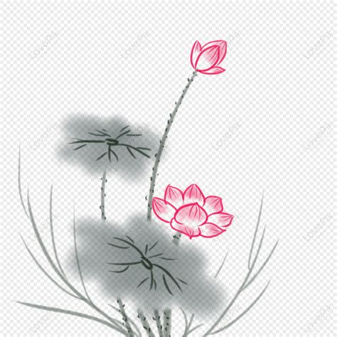 잉크 연꽃 Png 일러스트 무료 다운로드 Lovepik