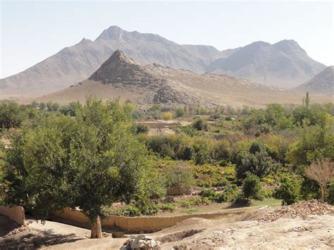 ورود علویجه ایها آزاد