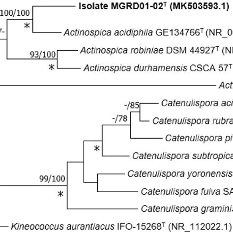 Maximum Likelihood Ml And Maximum Parsimony Mp Trees Inferred Using