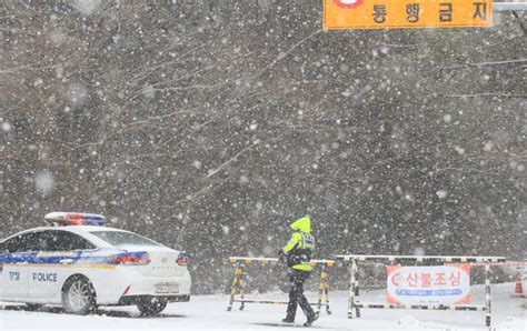 90㎝ 폭설 지난해 12월 제주 역대 6번째로 추워 파이낸셜뉴스