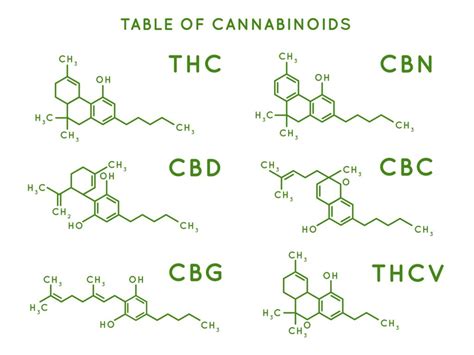 Cannabis Yeast And The Quest For Cannabinoid Synthesis