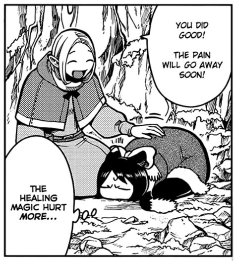 Actual Catgirl Izutsumi From Dungeon Meshi Rtopcharacterdesigns