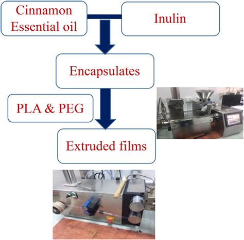 Polymer Engineering And Science Vol 65 No 4