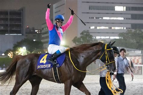 とも On Twitter Rt Narkeiba 帝王賞 1着はメイショウハリオ。本日大井競馬場で行われた第46回帝王賞は、濱中