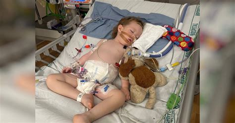 Alfies Journey To Recovery And Battle Against Myelodysplatic Syndrome