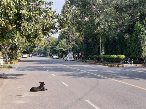 Samsung Galaxy Note Lite Review The New Flagship Killer Techpp