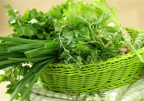Полезные продукты для желудка