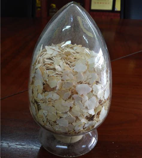 Soybean Processing Introduction