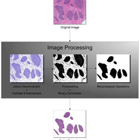 Evaluation Of The Tumour Extraction Algorithm In Bcc Histology Slides Download Table