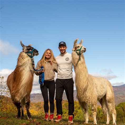 Llama Hike Earthshine Lodge