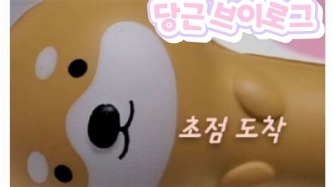 Vlog J제리🐭🧀 🥕당근 브이로그🥕포장포용거래나눔36324617 Youtube