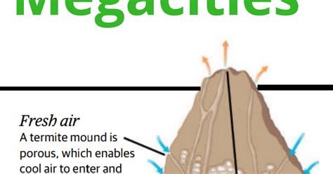 What Do Ant Colonies Look Like Ant Colonies Structure Ant Colony Part Ant Colony Underground