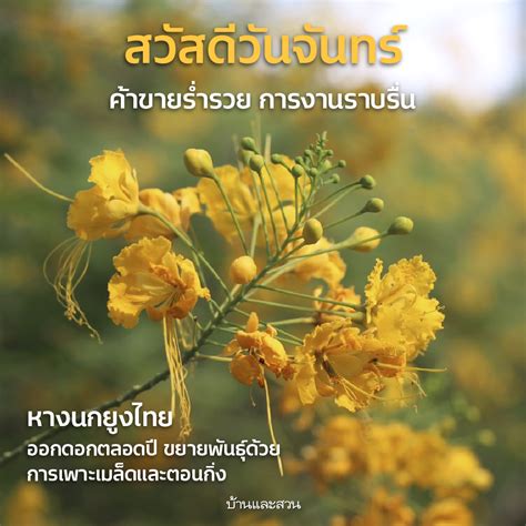 สวัสดีวันจันทร์ แจกฟรี ภาพพร้อมคำอวยพร บ้านและสวน