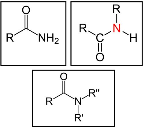 Difference Between Amine And Amide Definition Structure