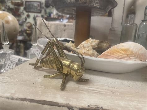 I Found The Gilded Grasshopper 👌🏽 Rfallouthumor