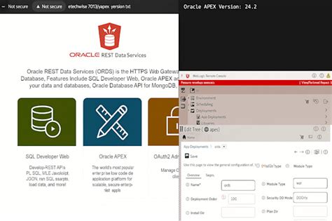 Install Oracle Apex Weblogic Deployment Ssl Ha By Excellentsys Fiverr