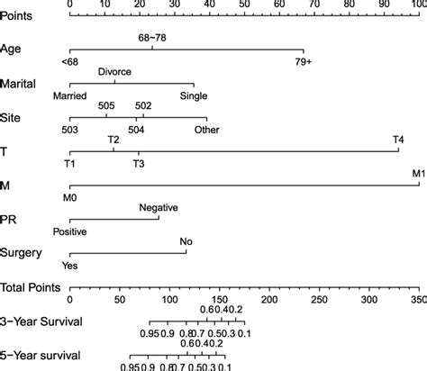Nomogram Predicted 3 And 5 Year Overall Survival For Patients With