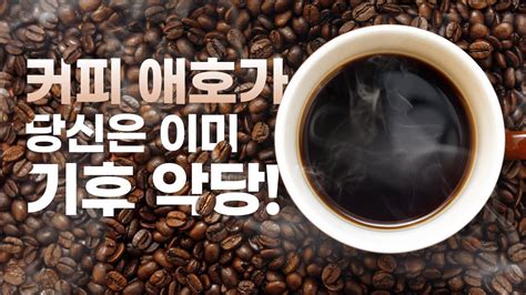 커피 애호가 당신은 이미 기후 악당 Youtube