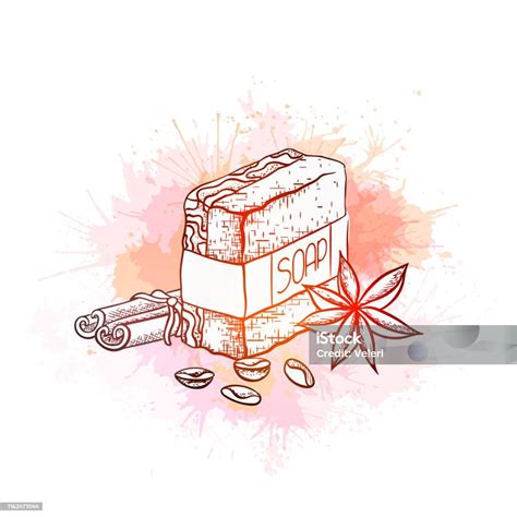 계피 스틱 커피 곡물 수채화 스플래시 및 스프레이에 스타 아니스와 수제 비누의 벡터 개요 그림 손으로 그린 드로잉 가지 식물