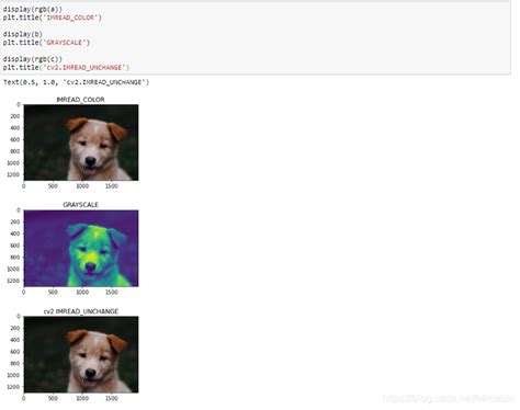 Opencv 读取图片使用cv2imread 并显示图片cv2imread 显示图片 Csdn博客