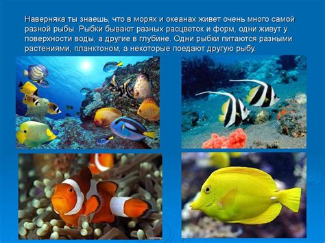 Морские обитатели Online Presentation