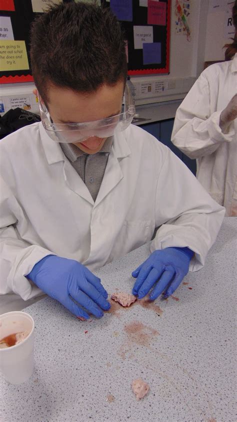 The Smarties Science Club Pva Polymer Slime