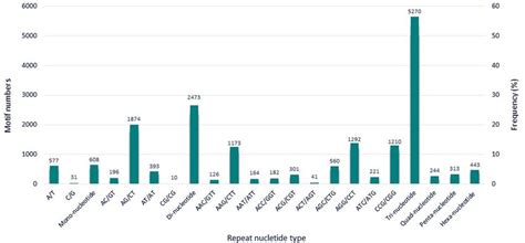 Frequency Distribution Of Ssrs Based On Motif Sequence Type And Number Download Scientific