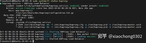 如何在 ubuntu 20 04 lts 安装 haproxy 知乎