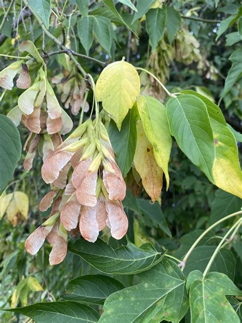 Vivero Municipal Eduardo L Holmberg