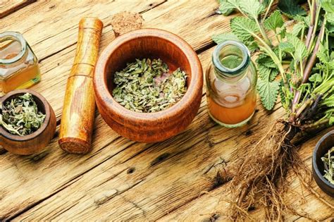 30 Plantas Medicinais E Para Que Servem