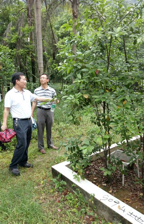 广东鼎湖山森林生态系统国家野外科学观测研究站