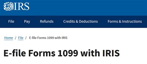 E File Direct Tax Accounting Systems