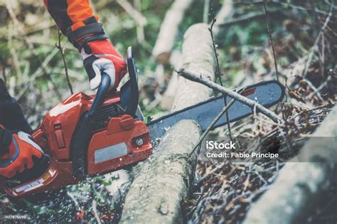 전기톱을 들고 나무를 베는 사람 직장에서 목재 잭은 주황색 개인 보호 장비를 착용합니다 숲에서 야외에서 일하는 정원사 보안 전문성 직업 임업 노동자 개념 목재 건축자재에