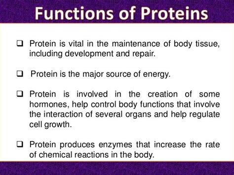 Protein Its Functions