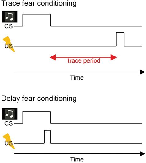 Entorhinalhippocampal Neuronal Circuits Bridge Temporally