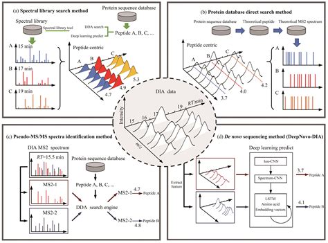 Dia Data Analysis Service Mtoz Biolabs