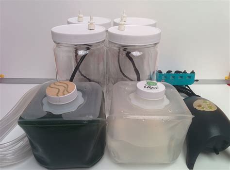 Algae Kits Now Available Algae Analytics