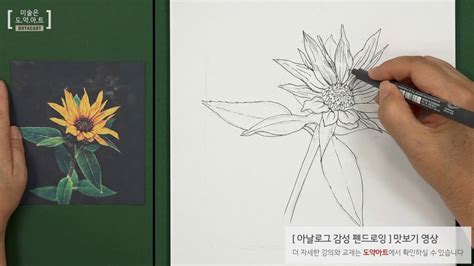 펜드로잉 배우기 그리는 순서가 핵심 꽃 펜드로잉 Flower Pen Drawing Youtube