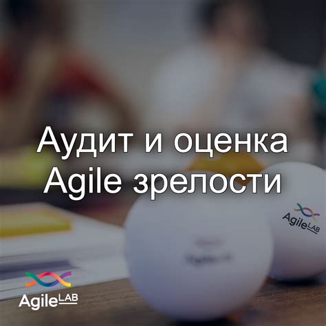 Agile аудит Agilelab