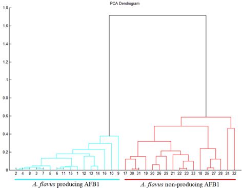Pca Principal Component Analysis Dendrogram Presented Relatedness Download Scientific Diagram