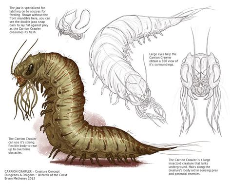 Creeper Dnd 5e At Maurice Keeton Blog